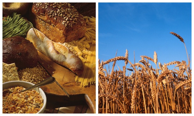 What Are The Best Grains To Eat? | HelloBeautiful