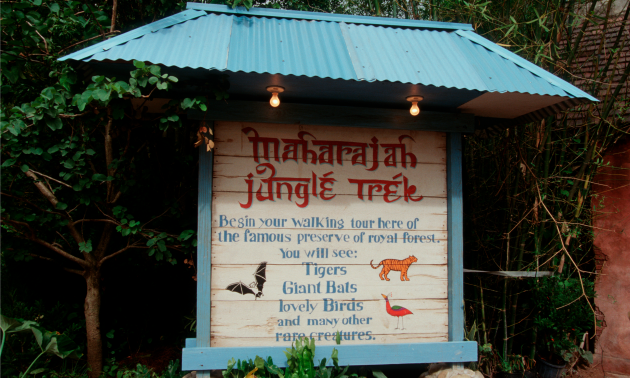 Disney’s Travel Activities for the Whole Family | HelloBeautiful